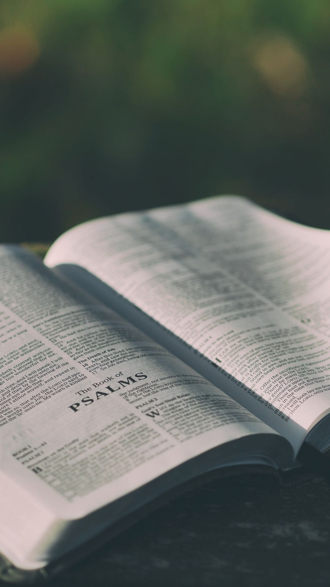 The Bible - Educating Our World